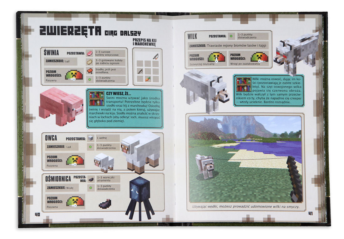 Minecraft Poradnik Dla Początkujących Mojang Książka W Sklepie