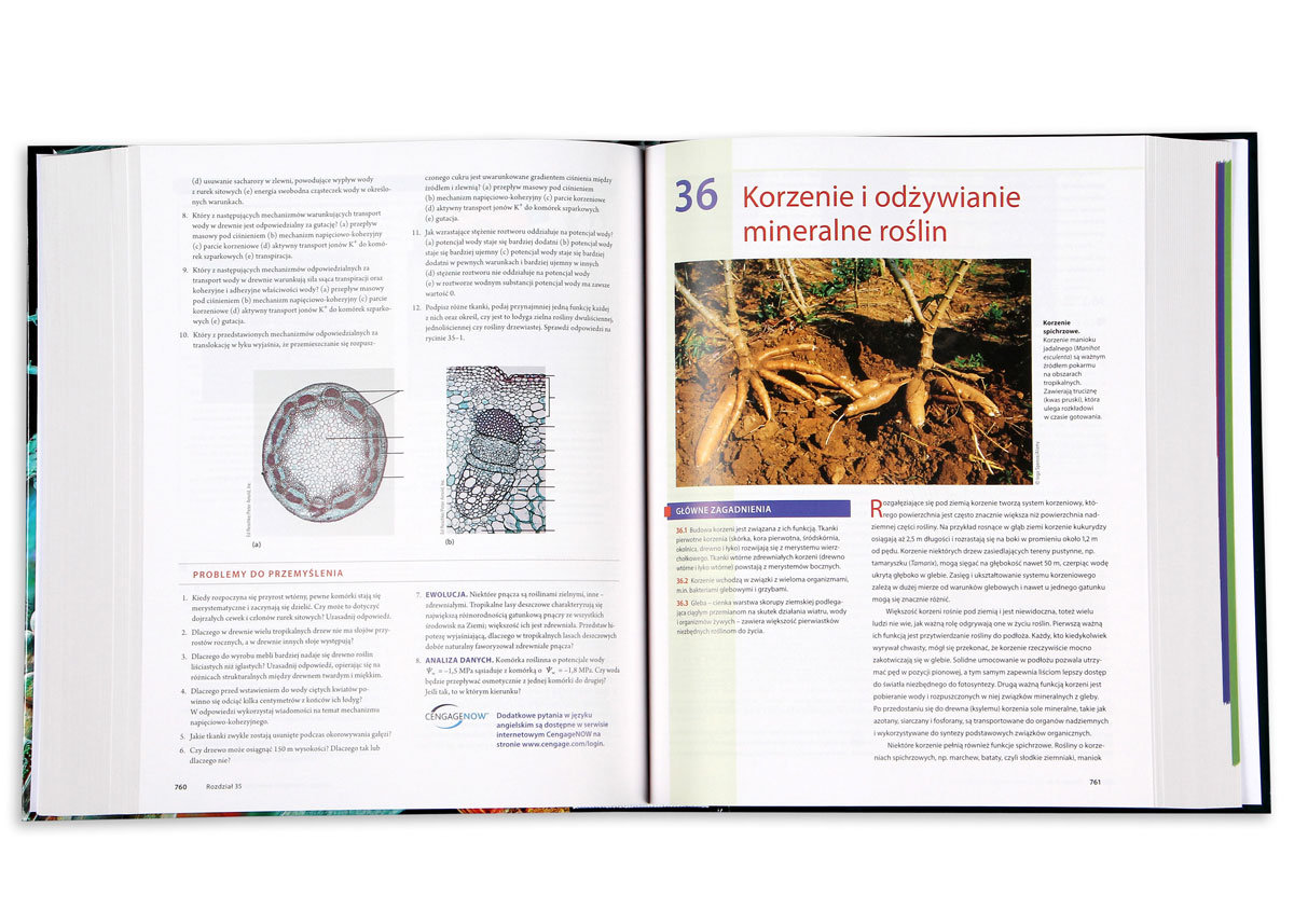 Biologia - Solomon Eldra P. | Książka w Sklepie EMPIK.COM
