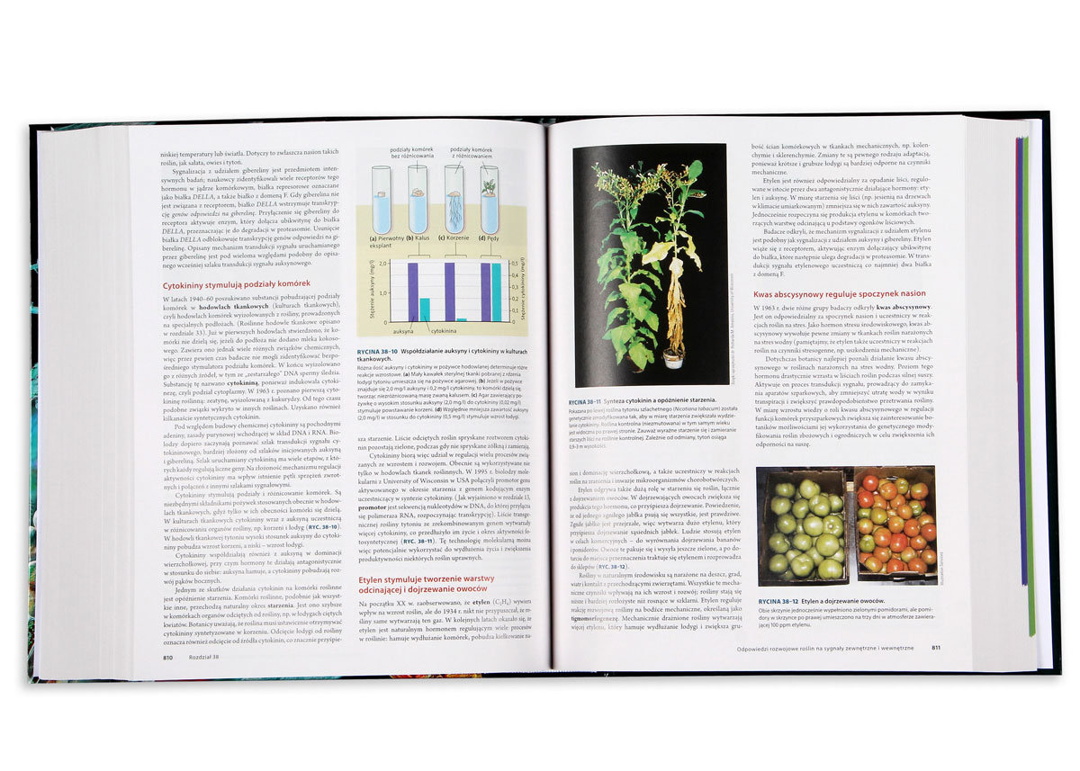Biologia - Solomon Eldra P. | Książka w Sklepie EMPIK.COM