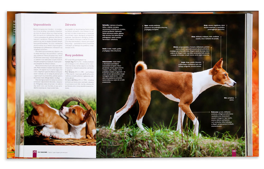 Psy rasowe - Przeczek Izabela | Książka w Sklepie EMPIK.COM
