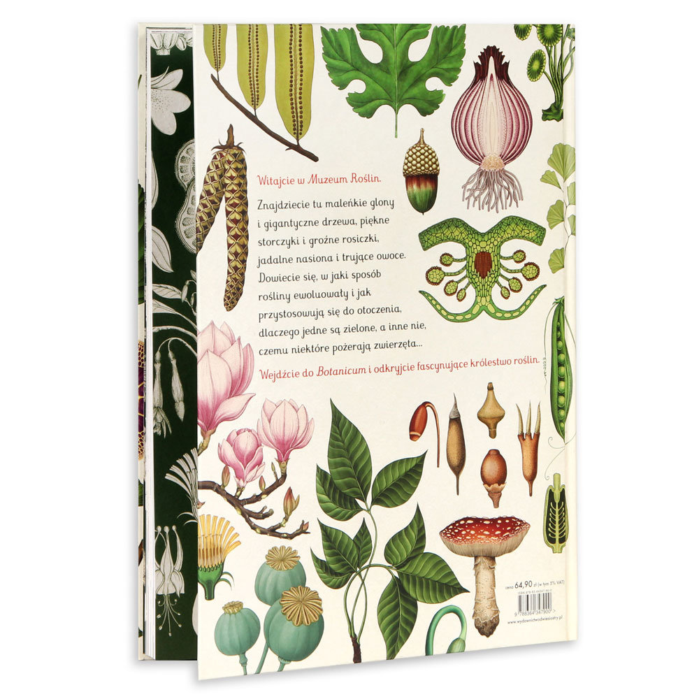 Botanicum - Willis Kathy | Książka w Sklepie EMPIK.COM
