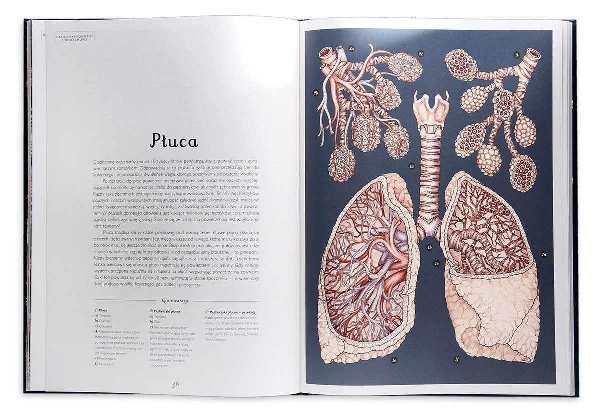 Anatomicum. Muzeum Anatomii - Paxton Jennifer Z. | Książka w Sklepie ...