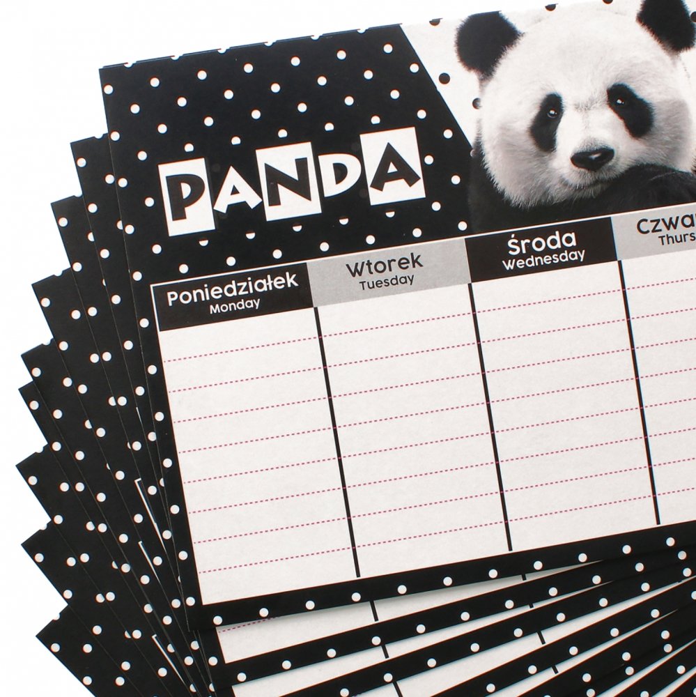 Plan Lekcji+Tabliczka Mnozenia, Euro Trade, A5 Panda Stk - Starpak | Sklep EMPIK.COM