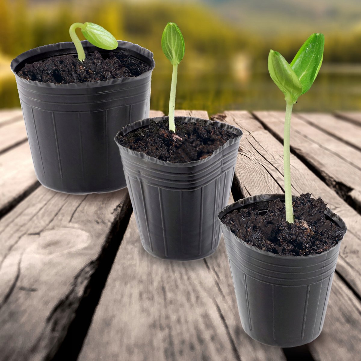 Doniczki Na Sadzonki Rozsad Produkcyjne 7Cm 100Szt - KADAX | Sklep ...