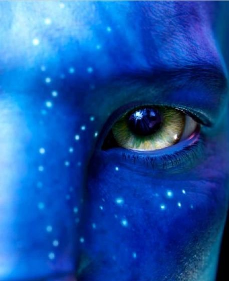 Avatar. Przewodnik ilustrowany. Disney - Joshua Izzo | Książka w ...