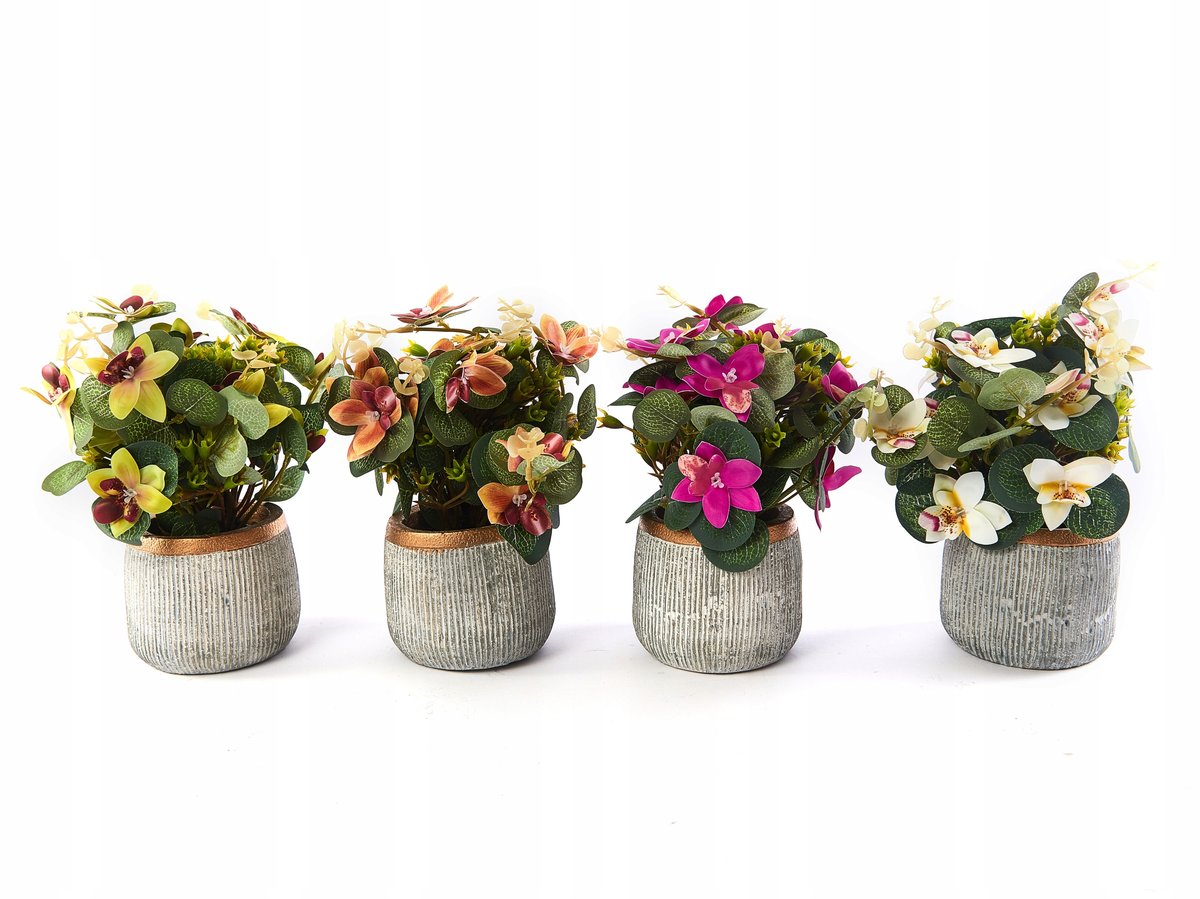 Kwiatek W Doniczce Ozdobna Roślina Różne Kolory - Midex | Sklep EMPIK.COM