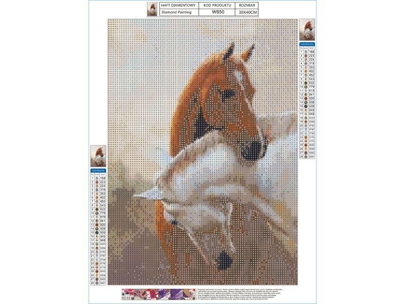 Haft Diamentowy, Obraz, Mozaika Diamentowa Diamond Painting, Dwa Konie 30X40Cm - DK | Sklep ...