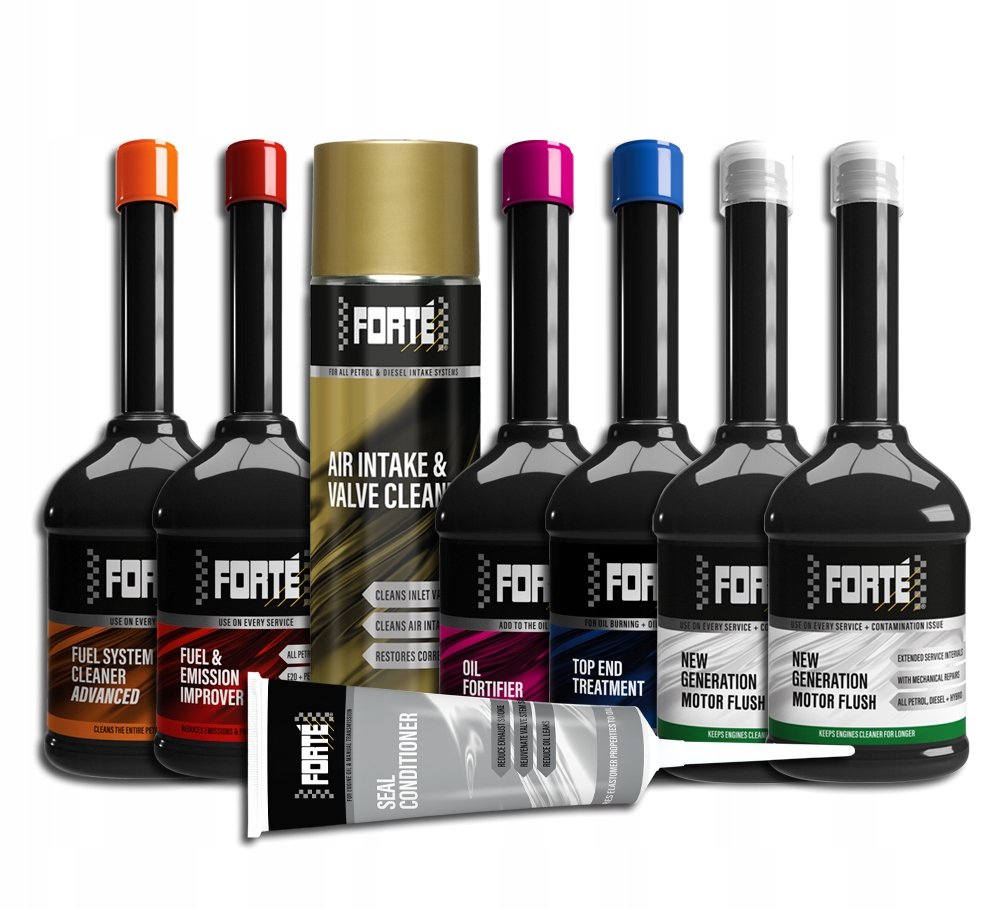 2 x FORTE 02-2B PEŁNY PAKIET NAPRAWCZY SPALANIE OLEJU - Inna marka ...
