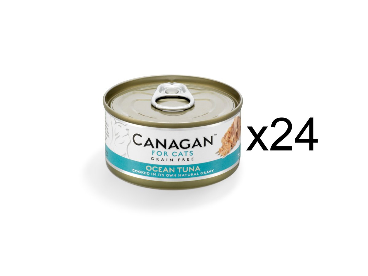 24x KARMA MOKRA DLA KOTA bezzbożowa bez cukru Canagan oceaniczny ...