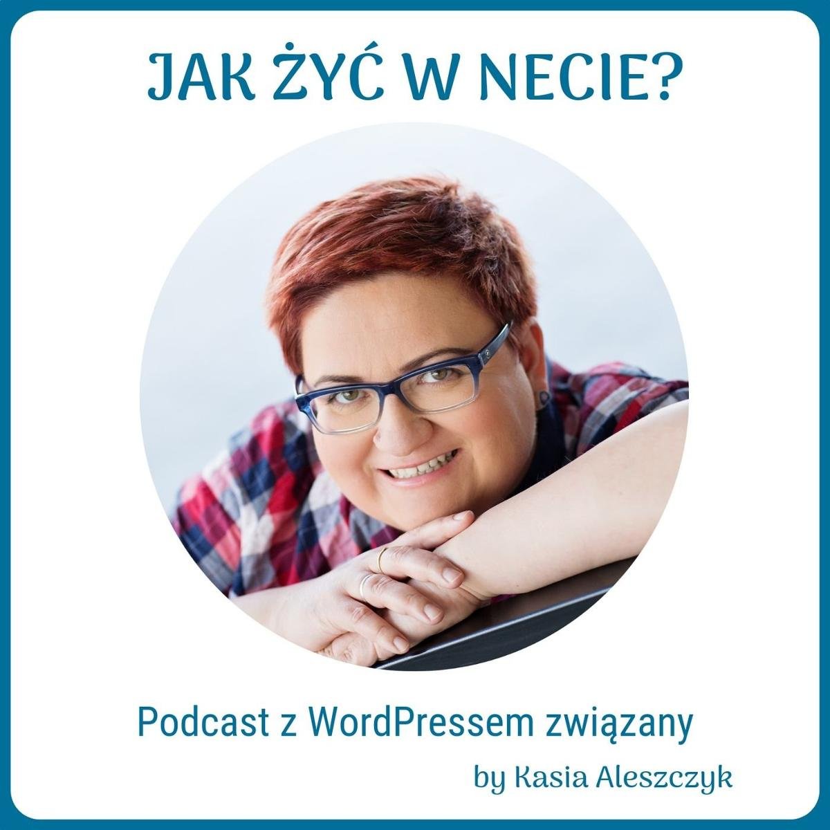 #27 Duży projekt w małej firmie - blaski i cienie - Jak żyć w necie ...