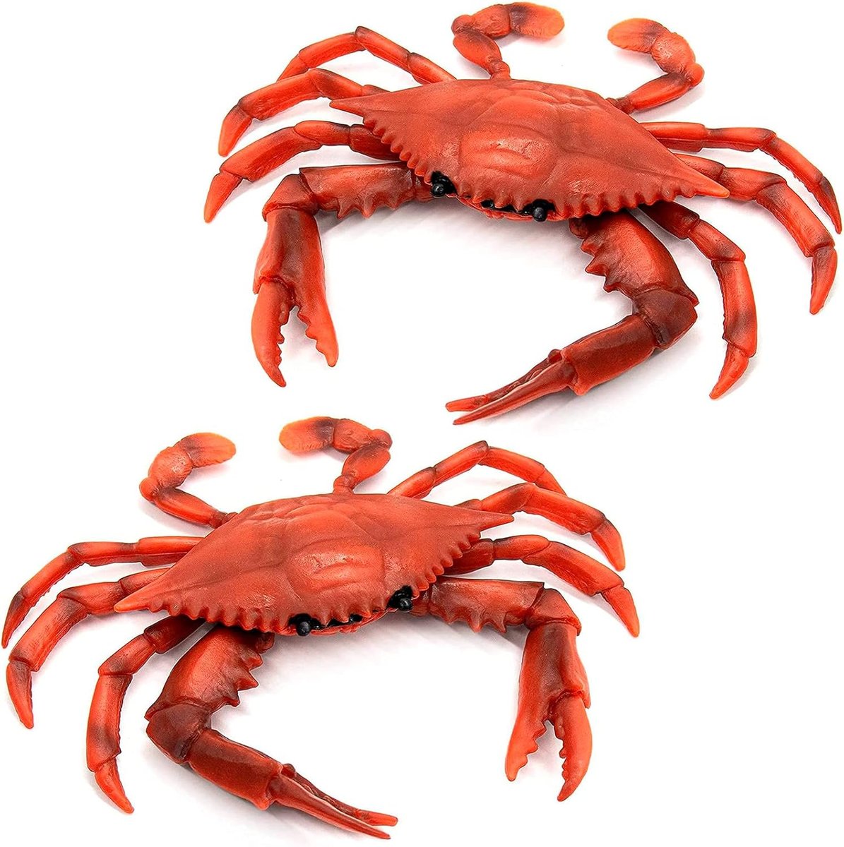 2Pcs Artificial Realistic Crab Toy - Educational Learning Ocean Life ...