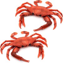 2Pcs Artificial Realistic Crab Toy - Educational Learning Ocean Life ...
