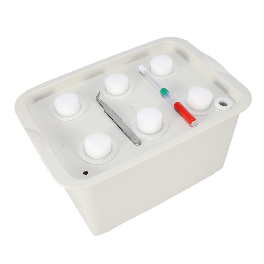 6 Holes Plant Site Hydroponic Grow Box Kit for Indoor and Outdoor ...