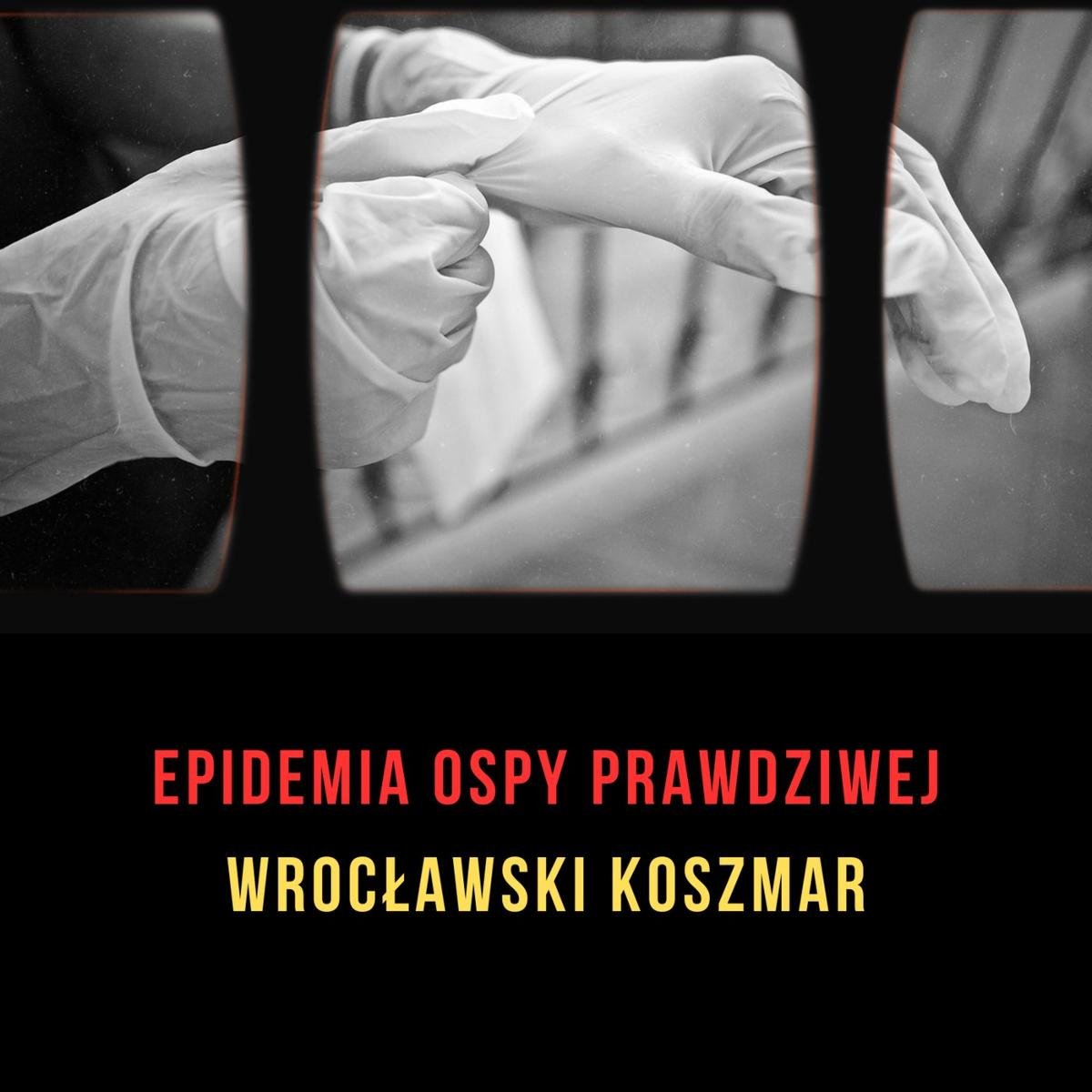 #6 Ospa prawdziwa - wrocławski koszmar | Epidemie i choroby - Ciekawe ...