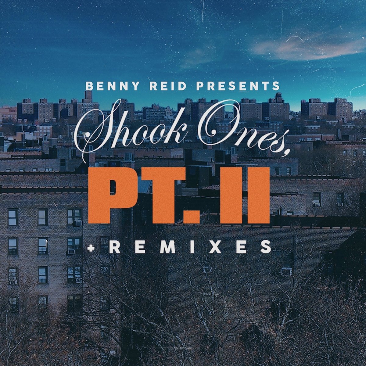 7-Shook Ones Pt. Ii + Remixes, płyta winylowa - Reid Benny | Muzyka ...
