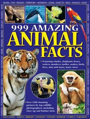999 Amazing Animal Facts - Armadillo | Książka w Empik