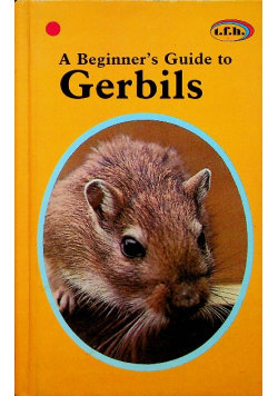 A beginners guide to gerbils - Opracowanie zbiorowe | Książka w Empik
