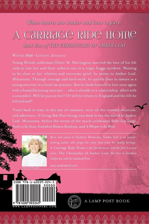 A Carriage Ride Home - Esch Sandra H. | Książka w Empik