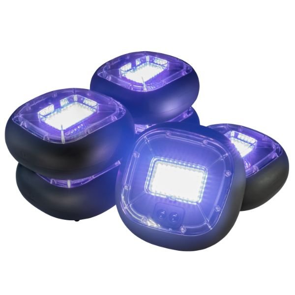 A-Champs, czujniki reakcyjne, ROX Pro X, 6 szt. - A-Champs | Sport Sklep EMPIK.COM