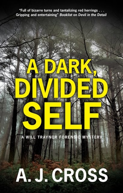 A Dark, Divided Self - A.J. Cross | Książka w Empik