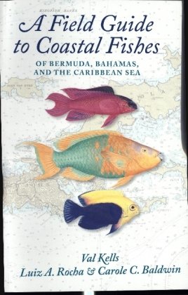 A Field Guide to Coastal Fishes of Bermuda, Bahamas, and the Caribbean ...