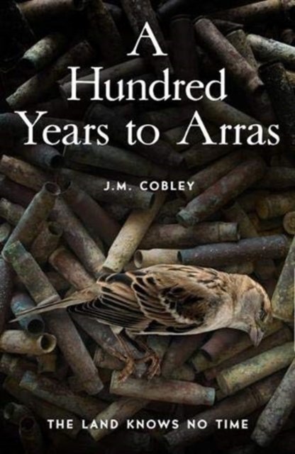 A Hundred Years to Arras - Jason Cobley | Książka w Empik