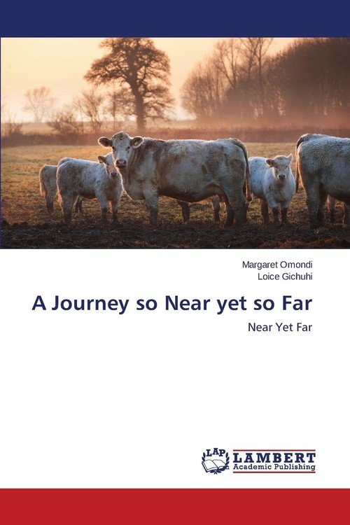 A Journey so Near yet so Far - Omondi Margaret | Książka w Empik