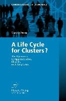 A Life Cycle for Clusters? - Press Kerstin | Książka w Empik