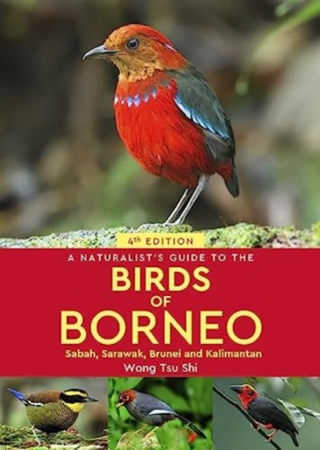 A Naturalist's Guide to the Birds of Borneo: Sabah, Sarawak, Brunei and ...