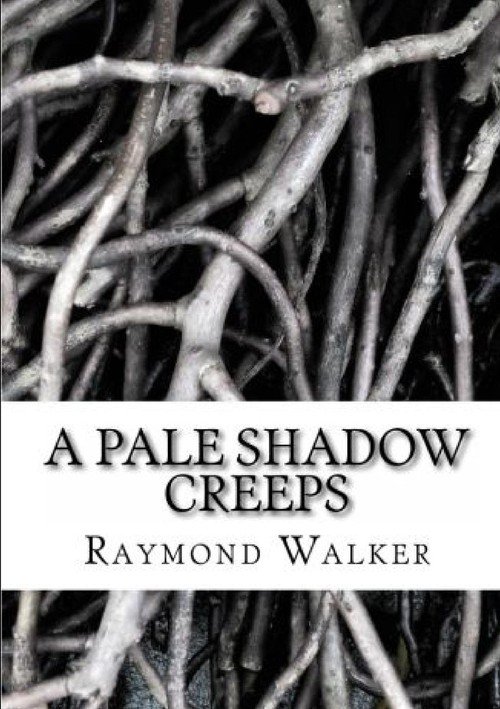 A Pale Shadow Creeps - Walker Raymond | Książka w Empik
