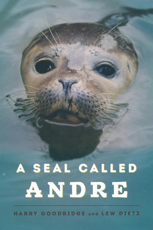 A Seal Called Andre - Goodridge Harry | Książka w Empik