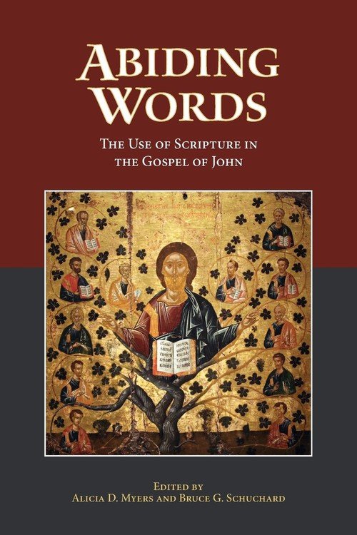 Abiding Words - Society of Biblical Literature | Książka w Empik