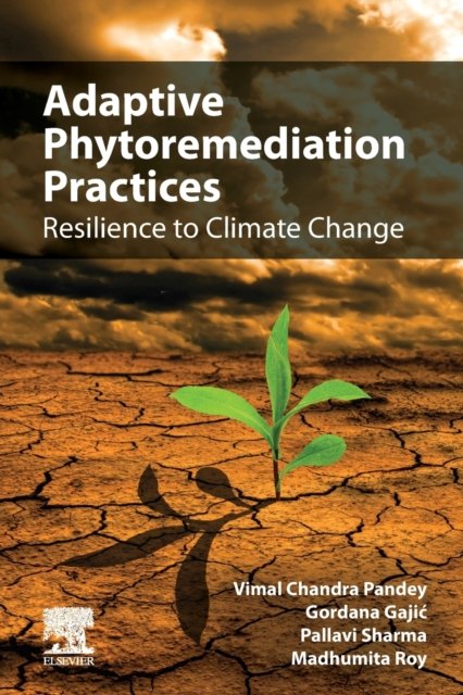 Adaptive Phytoremediation Practices: Resilience to Climate Change ...
