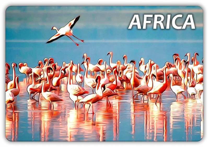 AFRYKA - Flamingi - Animals - Magnes na lodówkę - Subliproject | Sklep ...