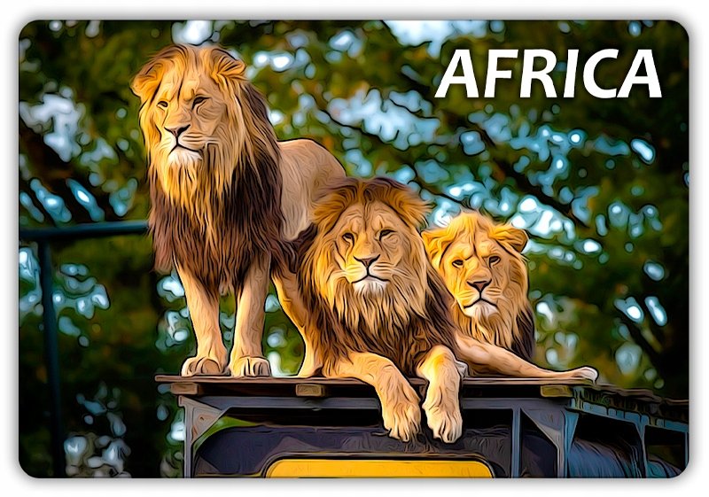 Afryka - Lew - Zwierzęta - Magnes Na Lodówkę - inna (Inny) | Sklep ...