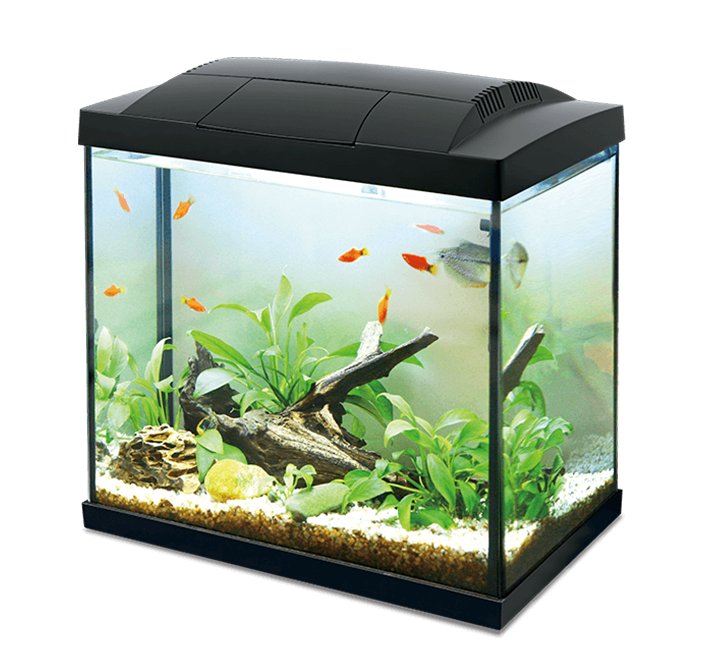 Akwarium Hailea K30 30l czarne - Happet | Sklep EMPIK.COM