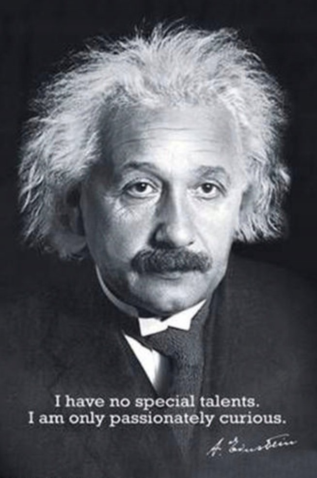 Albert Einstein - Plakat 70x50 cm - Atram | Sklep EMPIK.COM