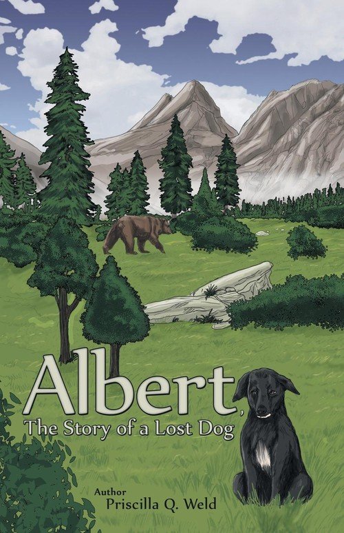 Albert, The Story of a Lost Dog - Weld Priscilla Q. | Książka w Empik