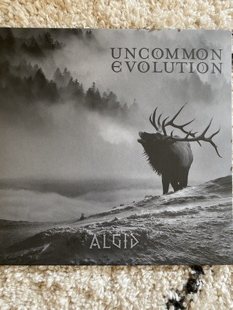 Algid, płyta winylowa - Uncommon Evolution | Muzyka Sklep EMPIK.COM