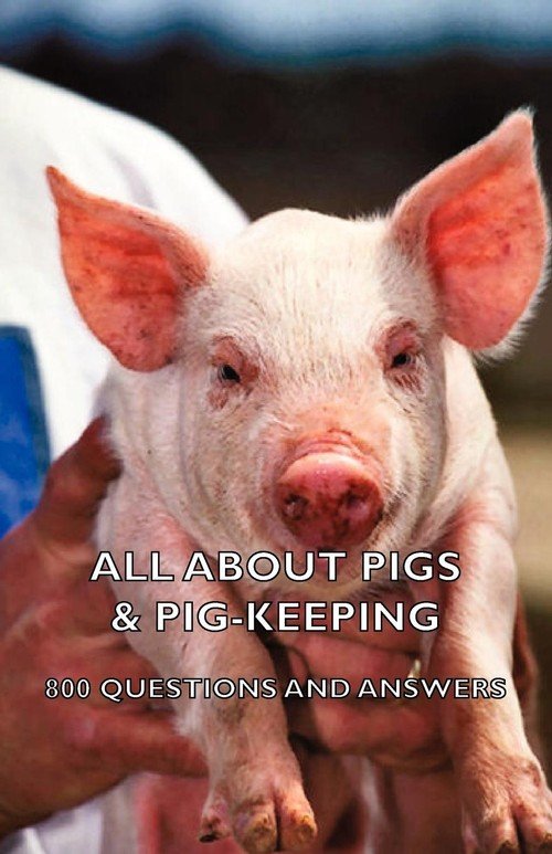 All about Pigs & Pig-Keeping - 800 Questions and Answers - Various ...