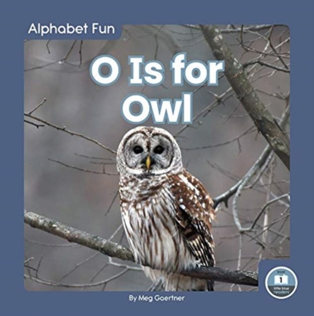 Alphabet Fun: O is for Owl - Meg Gaertner | Książka w Empik