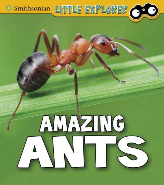 Amazing Ants - Peterson Megan Cooley | Książka w Empik