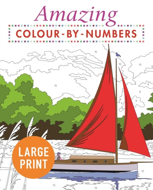 Amazing Colour-by-Numbers Large Print - Opracowanie zbiorowe | Książka ...