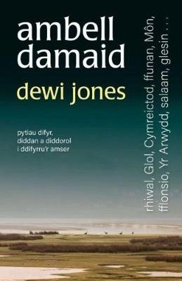 Ambell Damaid - Dewi Jones | Książka w Empik