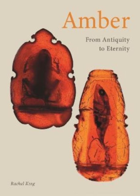 Amber: From Antiquity to Eternity - Rachel King | Książka w Empik