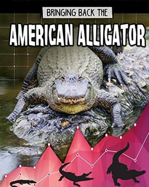 American Alligator: Animals Back from the Brink - Paula Smith | Książka ...