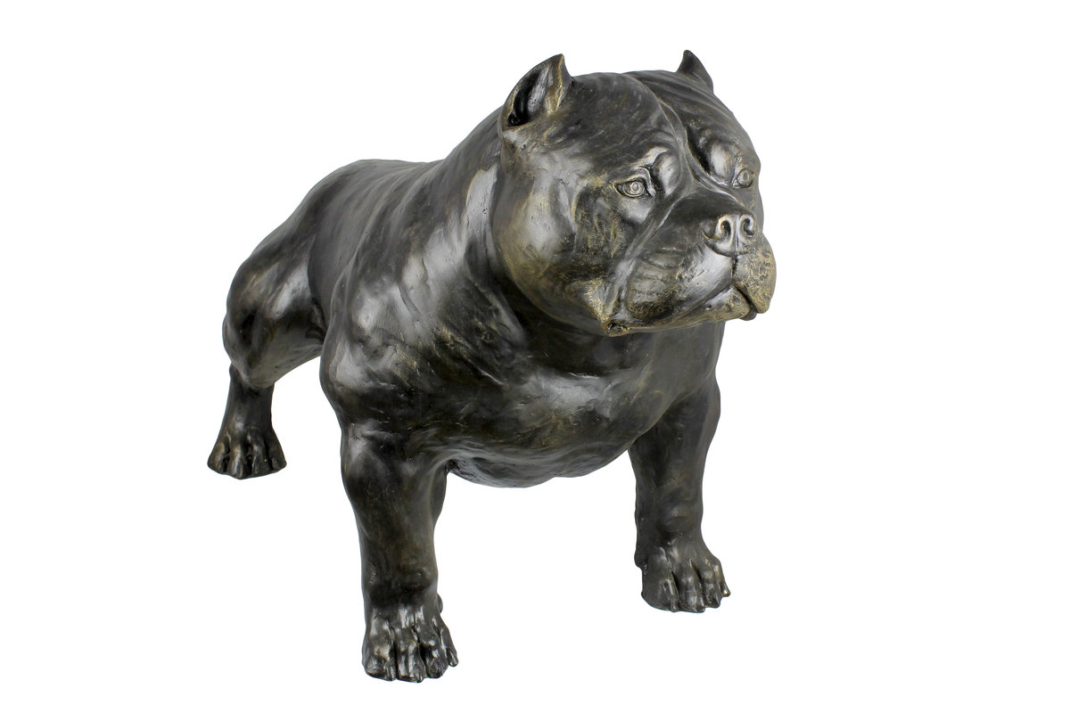 American Bully II - statuetka psa w naturalnym rozmiarze, figura w ...