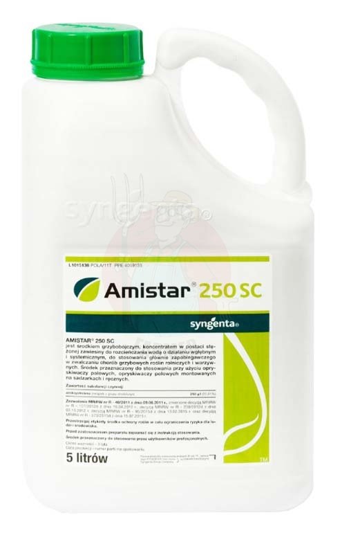 AMISTAR 250 SC 5L fungicyd fasola jęczmień groch kapusta - SYNGENTA | Sklep EMPIK.COM