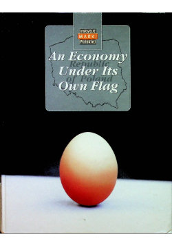 An economy under it's own flag - Opracowanie zbiorowe | Książka w Empik