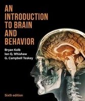An Introduction to Brain and Behavior - Kolb Bryan | Książka w Empik